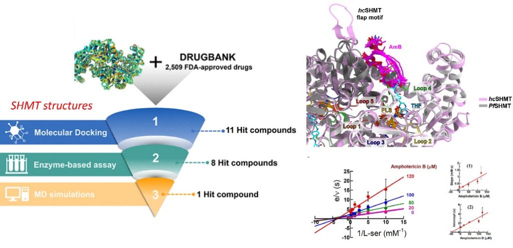In Silico and In Vitro Potential of FDA-Approved Drugs for Antimalarial ...